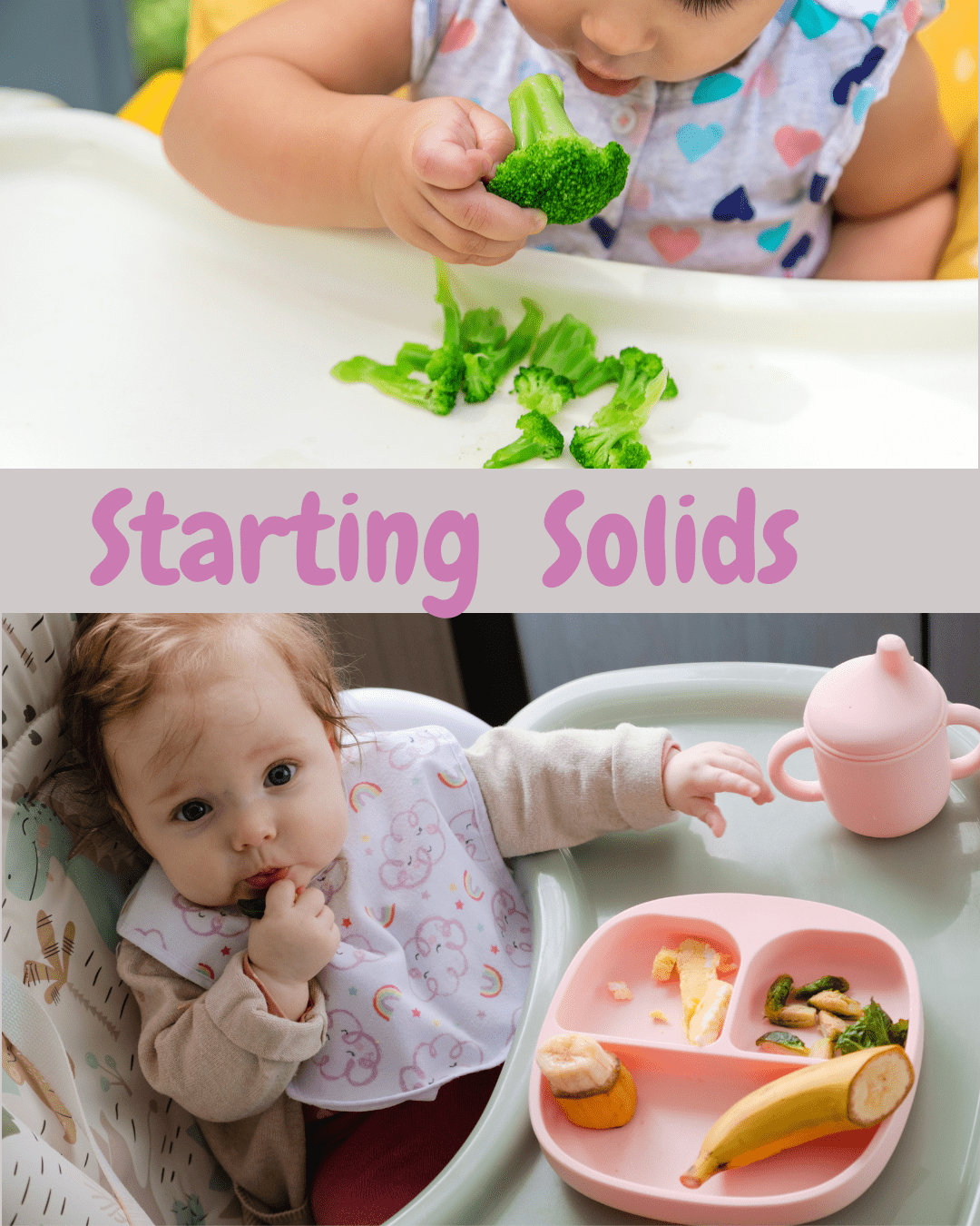 Starting Solids: The Ultimate Guide for Baby’s First Foods – WM BUBBLES